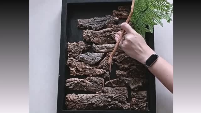 Кора в Интерьере Видео Подборка