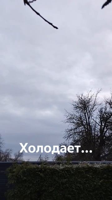 Холодает 2025.11.16