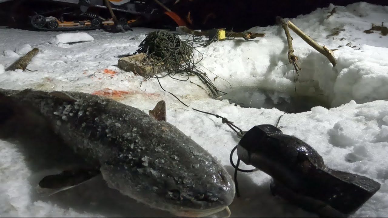 ПЕРЕМЕТ | ПРОВЕРКА 17.11.2025