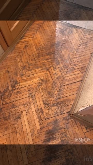 Super Bo в работе!