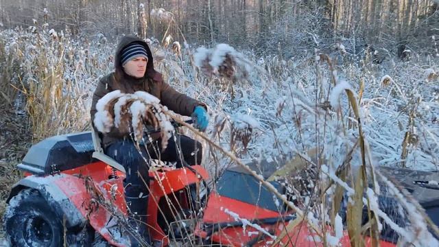 У нас выпал первый снег! Ну красота же!