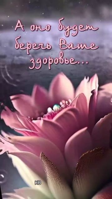 #видеооткрытка #видео пожелания #shortvideo #short #katyborо #топ #рек