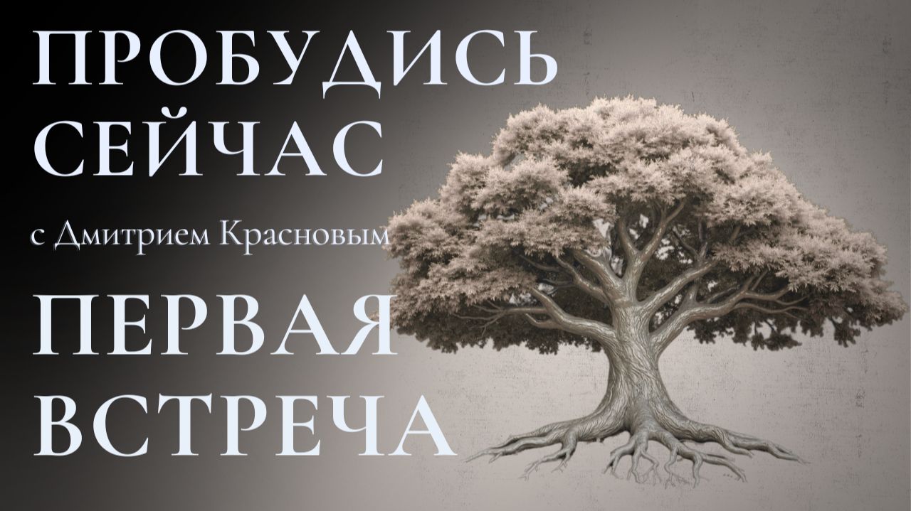 ПРОБУДИСЬ СЕЙЧАС.  Первая встреча