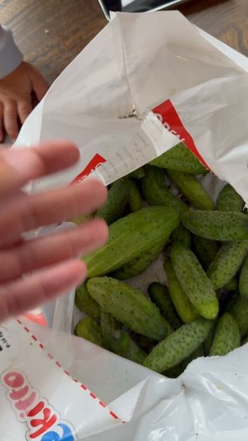 Секрет как сохранить свежие огурцы в холодильнике