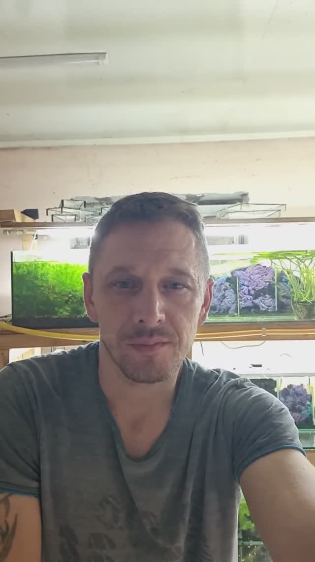 Прямой эфир!  Как можно легко поддержать канал? Когда я общался с Дядей Васей?