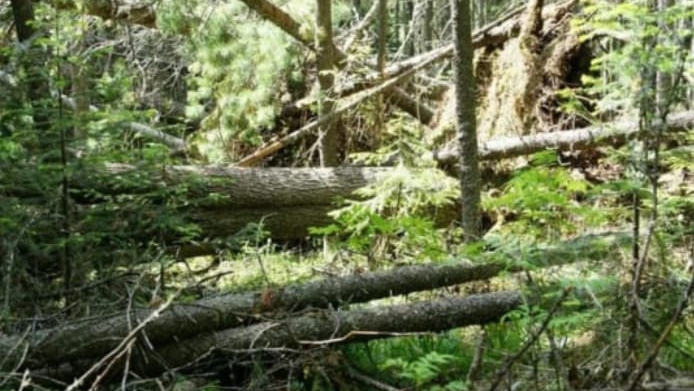 ЗНАЧЕНИЕ ,, ОТКРЫТИЕ ДОРОГ" В МАГИИ.. ЧТО ЭТО ТАКОЕ!!