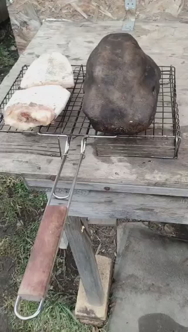 Хвост бобра и губа лося на новогоднем столе в год "Огненной лошади".