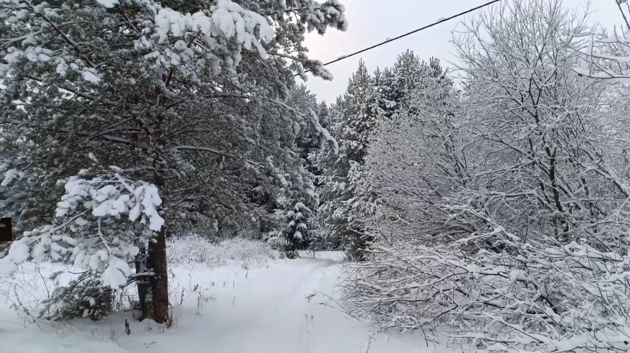 ЗИМНИЙ РЕЛАКС ПОД КРАСИВУЮ МУЗЫКУ