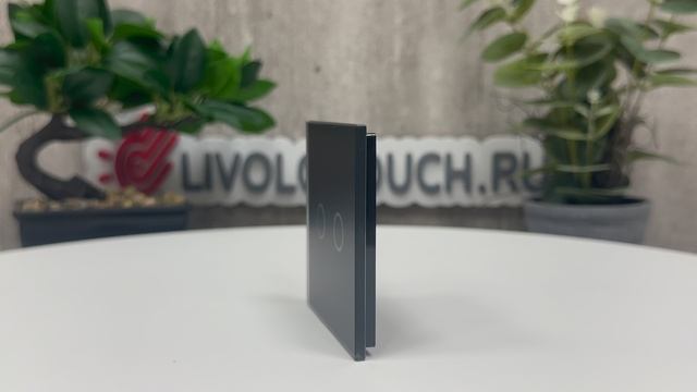 Панель для сенсорного выключателя Livolo 2 клавиши, цвет черный матовый, стекло, BB-C7-C2-12 MT