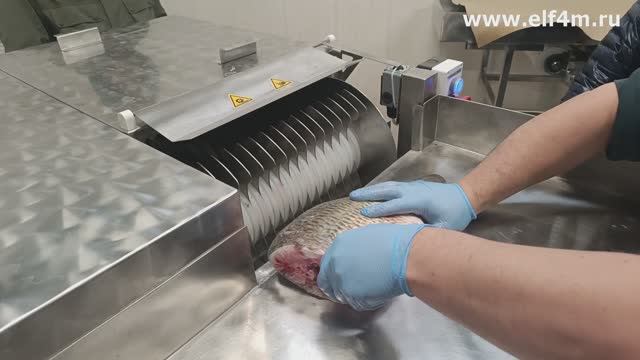 Устройство нарезки рыбы на стейки (для карпа и крупной рыбы) ИПКС-074-01-300ГФ(Н)