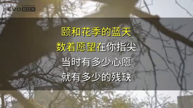 步步 (Mayday) — 五月天 (Step by Step) | караоке EVOBOX