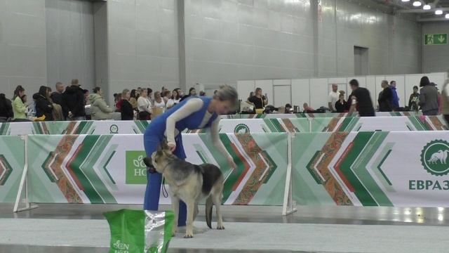 Элита Урала Ярость