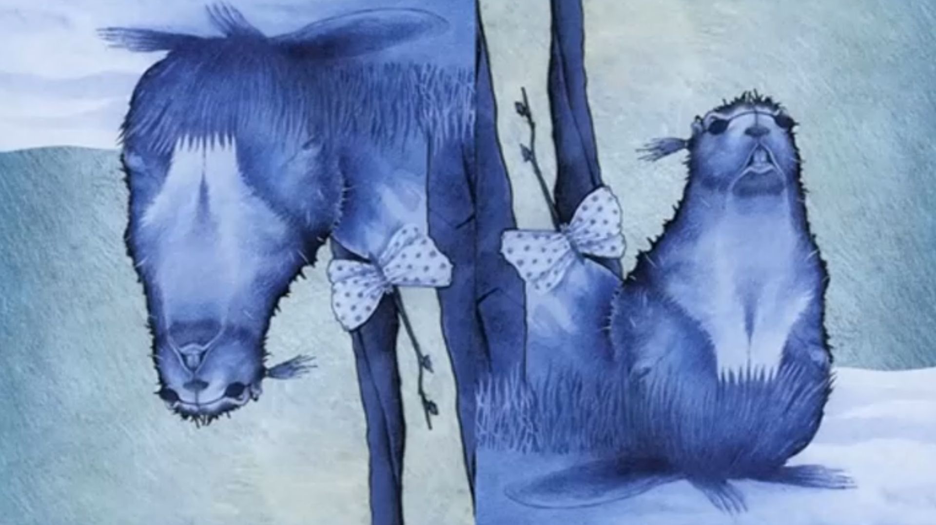 Прикольные картинки перевертыши (Часть 4). Видео от SAFa