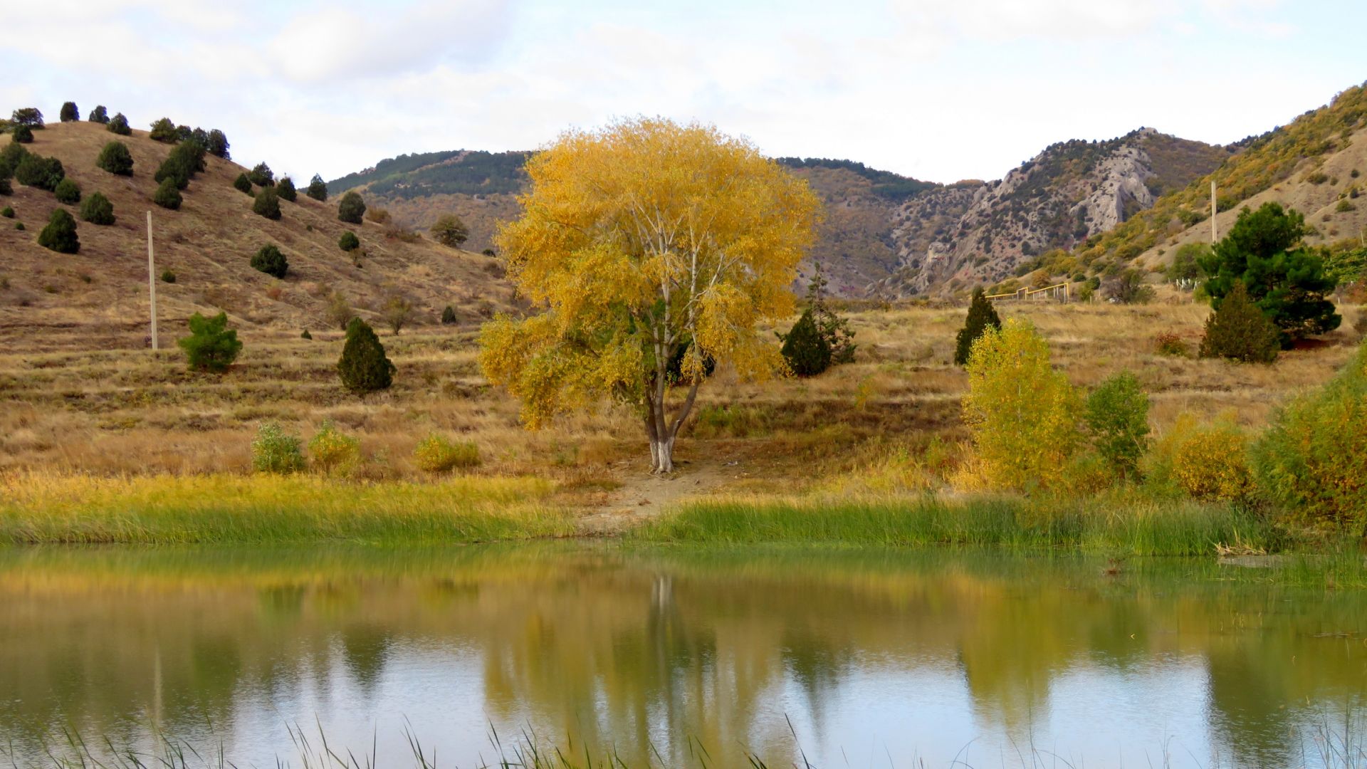 Просто осень.