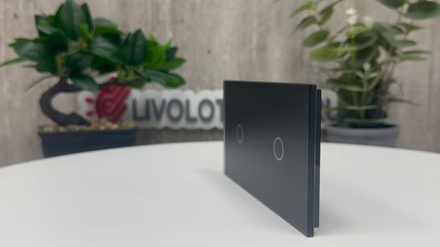 Панель для двух сенсорных выключателей Livolo, 2 клавиши, цвет черный матовый, BB-C7-C1/C1-12 MT