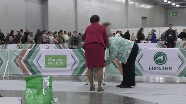 Посадский Страж Жемчужина Моей Души