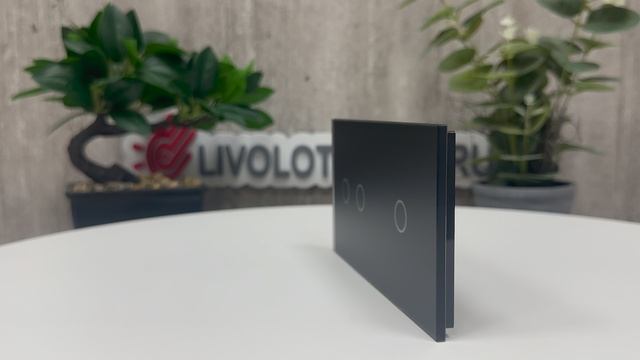 Панель для двух сенсорных выключателей Livolo, 3 клавиши, цвет черный матовый, BB-C7-C2/C1-12 MT