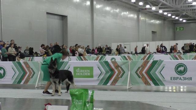 Бест Вео Лайн Нирвана