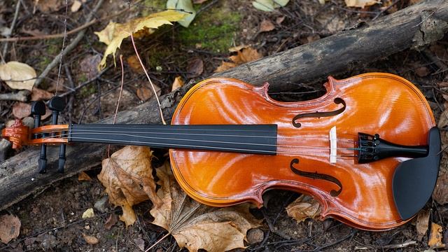 Современная классическая музыка на скрипке | Ecveezer - Sleep In Each Other's Arms