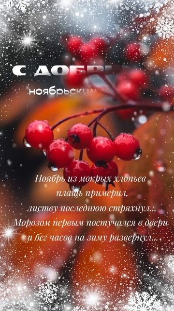 #видеооткрытка #видео #shortvideo #short #пожелания #сдобрымутром #katyboro #2025 #рутуб #рек #топ