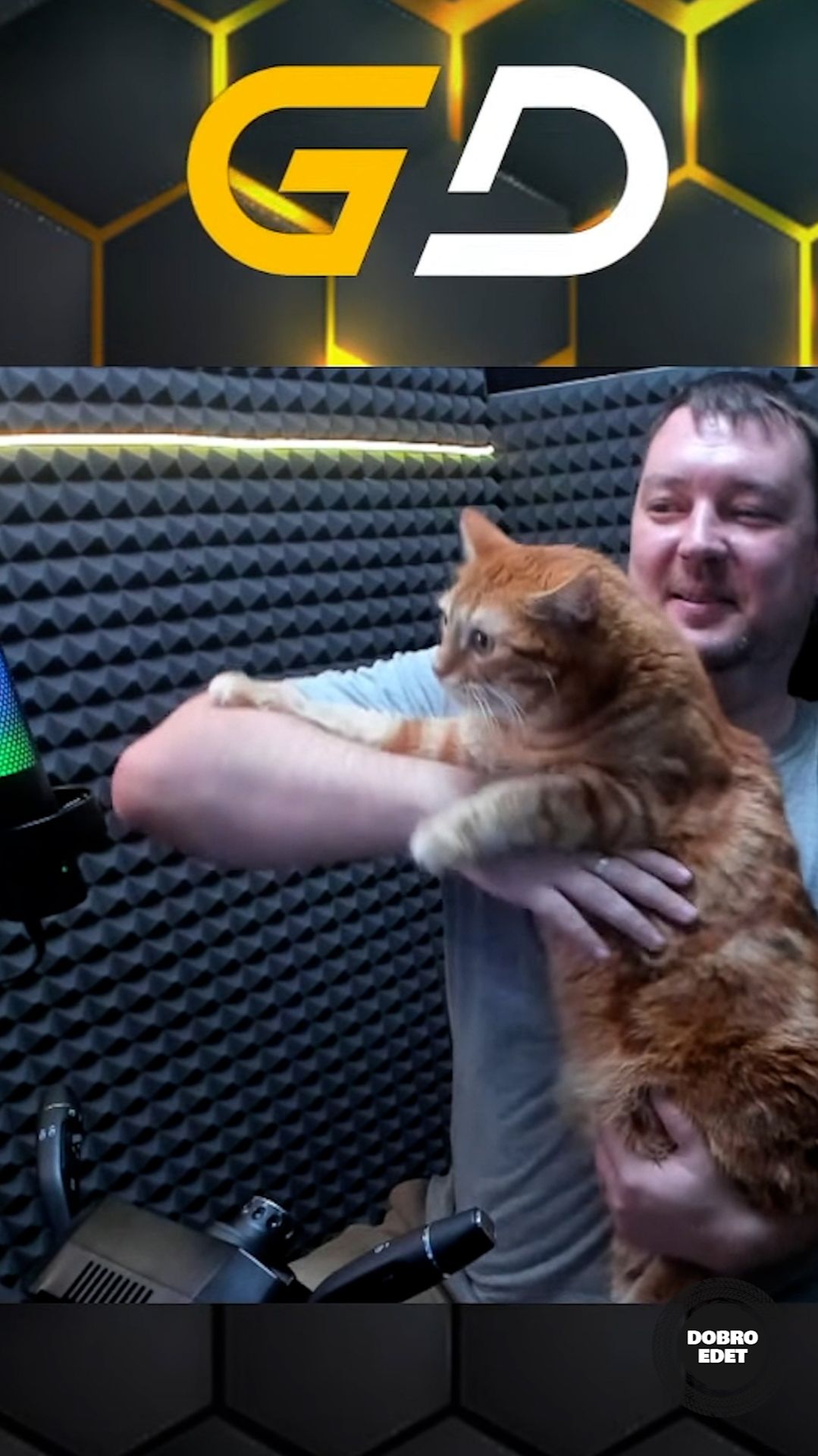 УДАЧНО Я НА СТРИМ ЗАШЕЛ #shorts