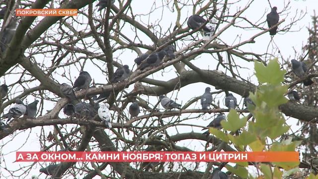 А за окном. 21 ноября 2025