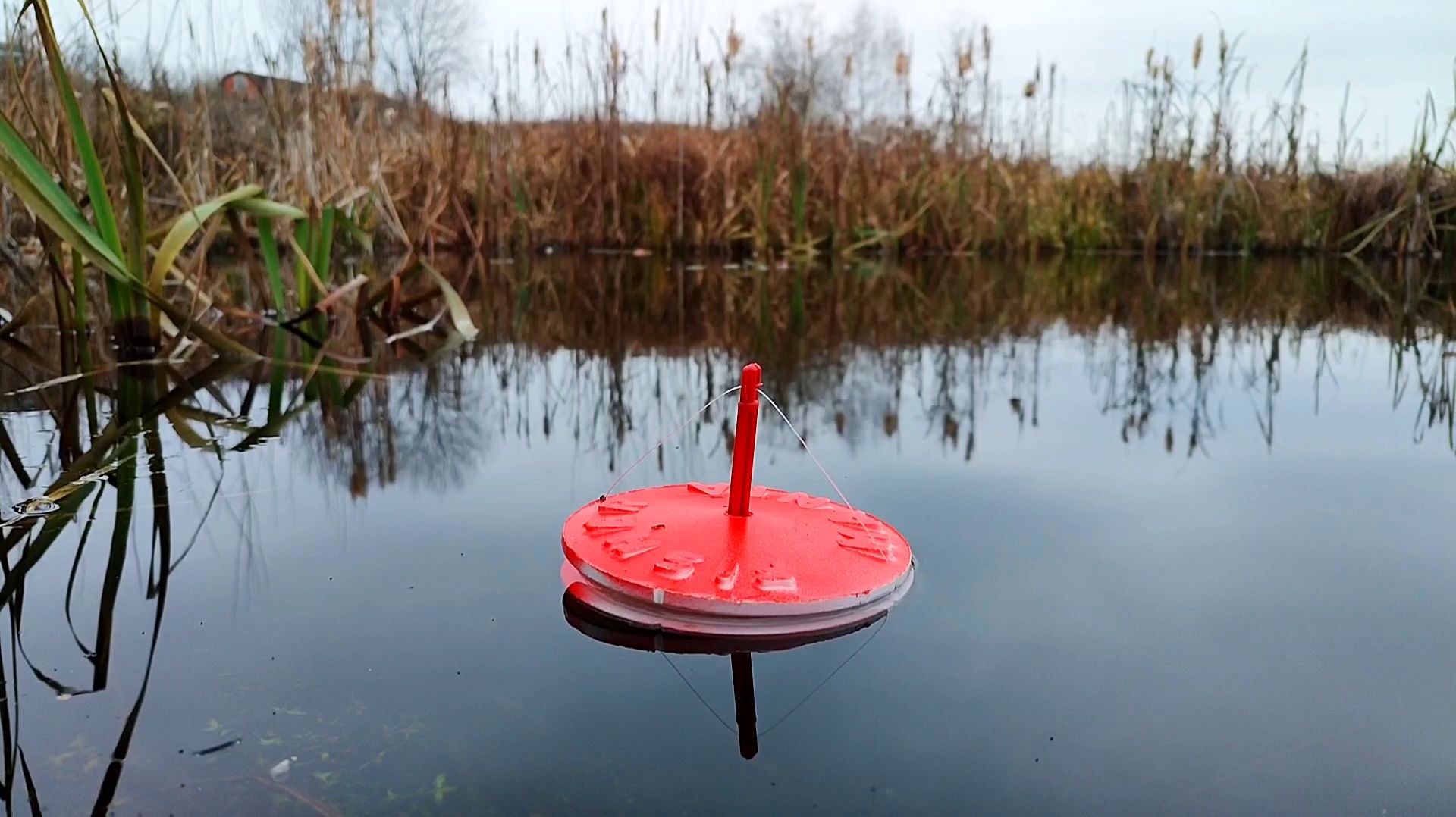 ЛОВЛЯ ЩУКИ НА КРУЖКИ В ДРЕМУЧИХ ЛЕСАХ ПОДМОСКОВЬЯ