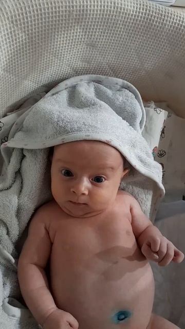 1 месяц, 4 дн. (26 августа 2022) После ванны)