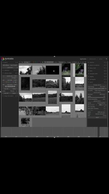 "Шиповник" постобработка фото 20 - экспорт