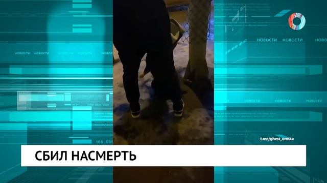 Сбил насмерть