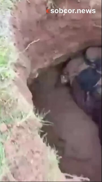 Дагестанец на лошади провалился в склеп времен Золотой Орды #россия #новости #склеп