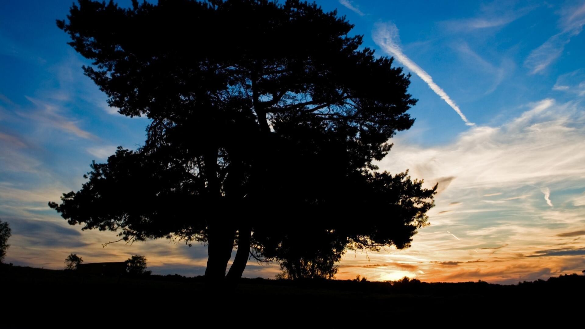 Mustafa Avşaroğlu — Stay with Me