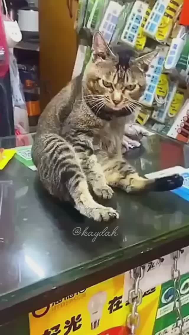 веселая подборка