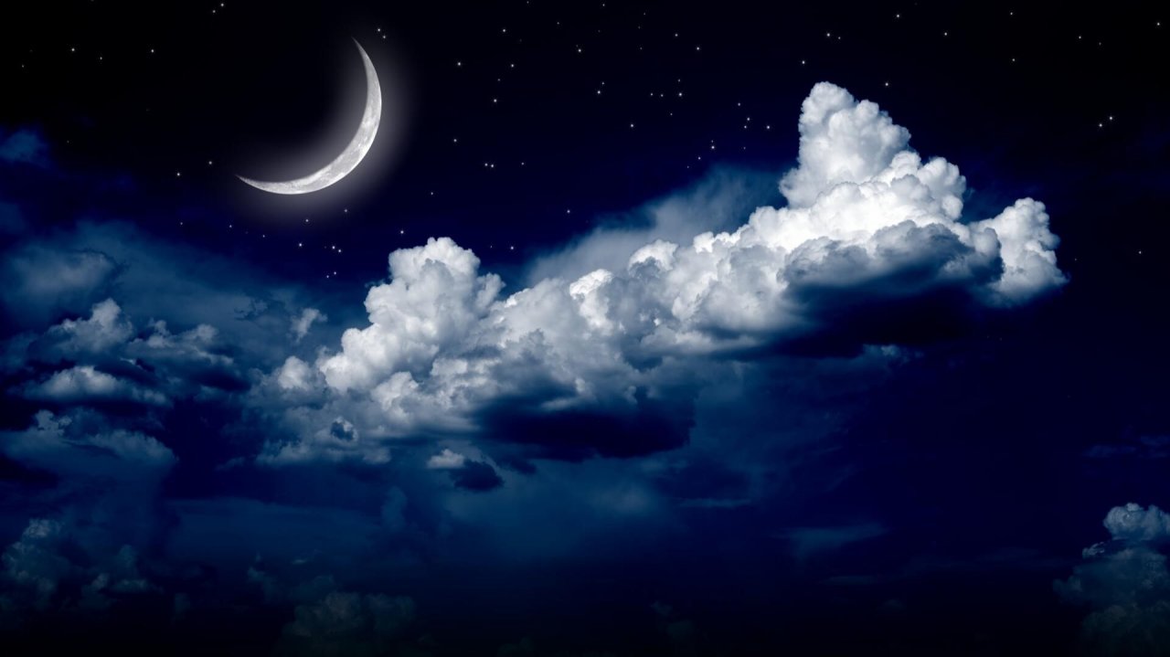 mustafa avsaroglu moonlight mix cut