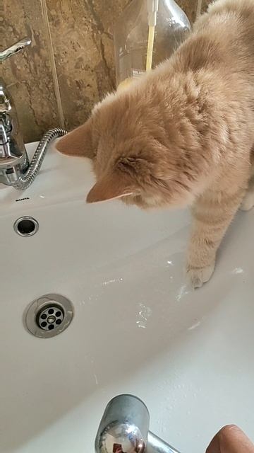 Нам все интересно