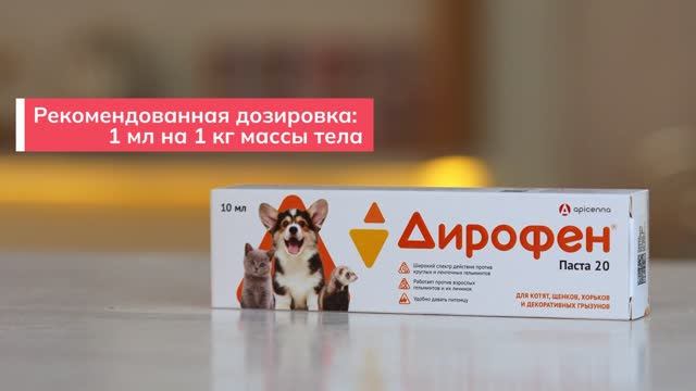 Дирофен-паста 20 для дегельминтизации котят, щенков, хорьков и грызунов при нематодозах и цестодозах