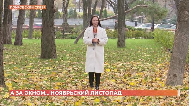 А за окном. 17 ноября 2025