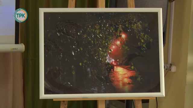 В Новомосковске открылась новая фотовыставка