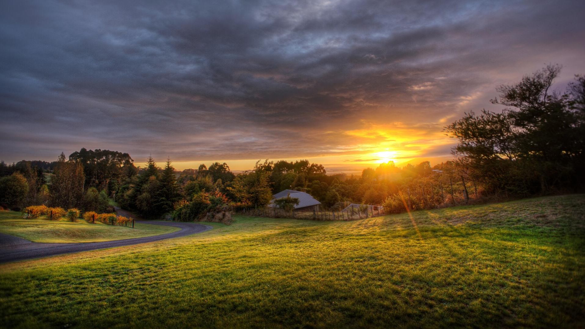 mustafa-av-aro-lu-extinction