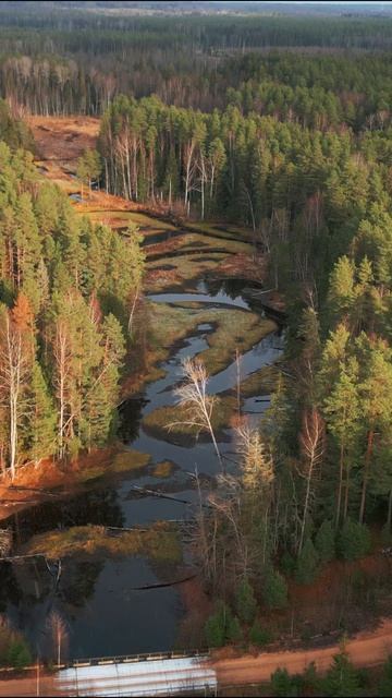 Бор Косицкий