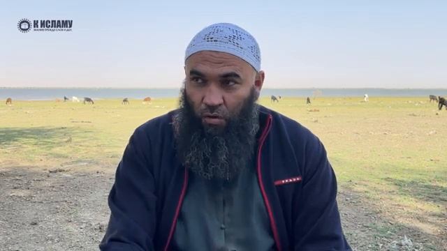 265 Условия дозволенности мяса на охоте Сура 5 аль-Маида аят 4 Тафсир аль-Багауи