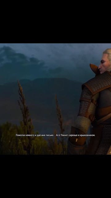#witcher3 | Весемир и Геральт #games #rpg