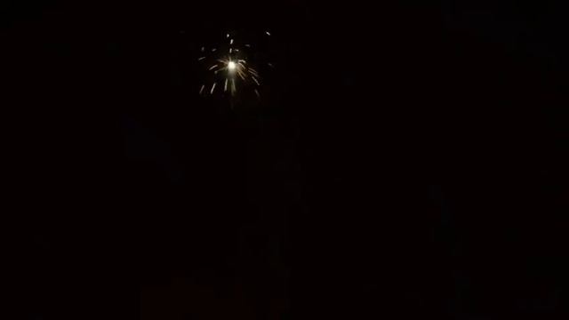 Стелс (W 503) *1/60/12 (шт.)