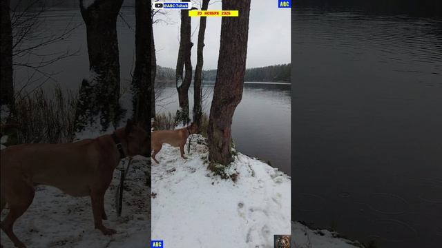 Послание пацанам без бантиков 20.11.2025 #юныйпрадедбодрыйдед