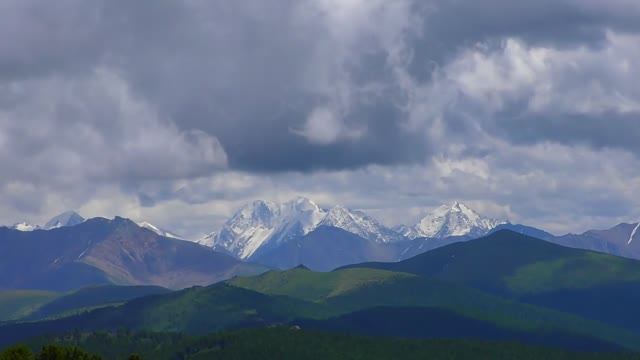 Лето, горы, цветы