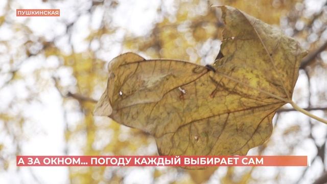 А за окно.19 ноября 2025