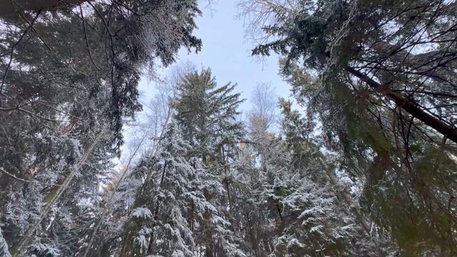 Ленинградская обл.,Выборгский р-н,д. Александровка,д. 4