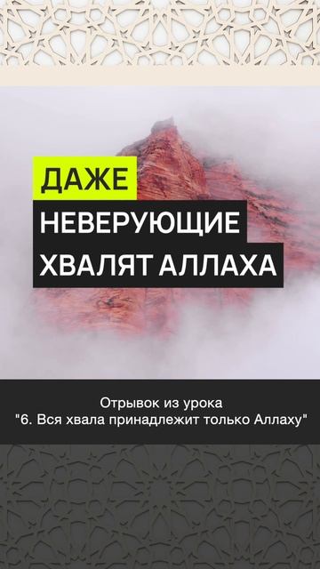 Даже неверующие хвалят Аллаха || Ринат абу Ибрахим #ислам #вера #сунна