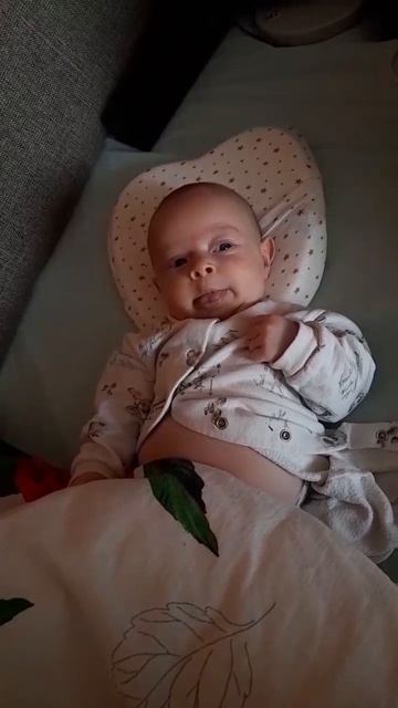 1 мес., 28 дн. (18 сен. 2022) Зевает