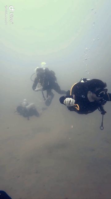 Рэк-дайвинг в Дубае, дайвинг в Эмиратах